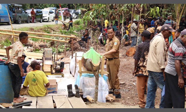 Pemprov Papua Tengah Tanam dan Panen Sagu | Papuaposnabire - Baca! Biar ...