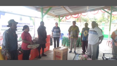 Dinas P2KP Distribusikan Bantuan Pj Gubernur Papua Tengah ...